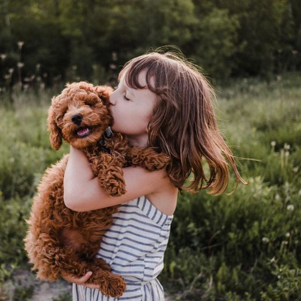 Care Tips - PUPJoy