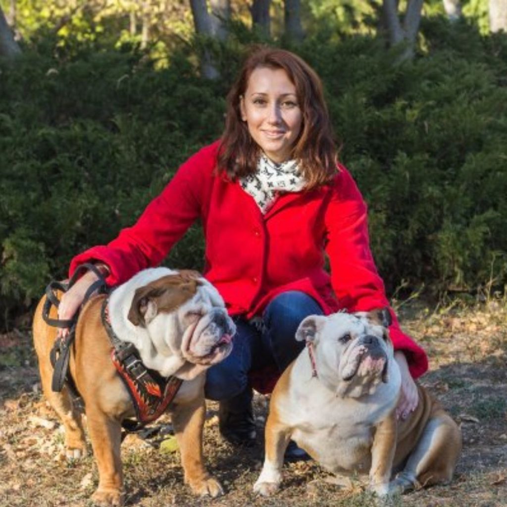 Top 5 Beginner-Friendly Training Methods for Bulldogs - PUPJoy